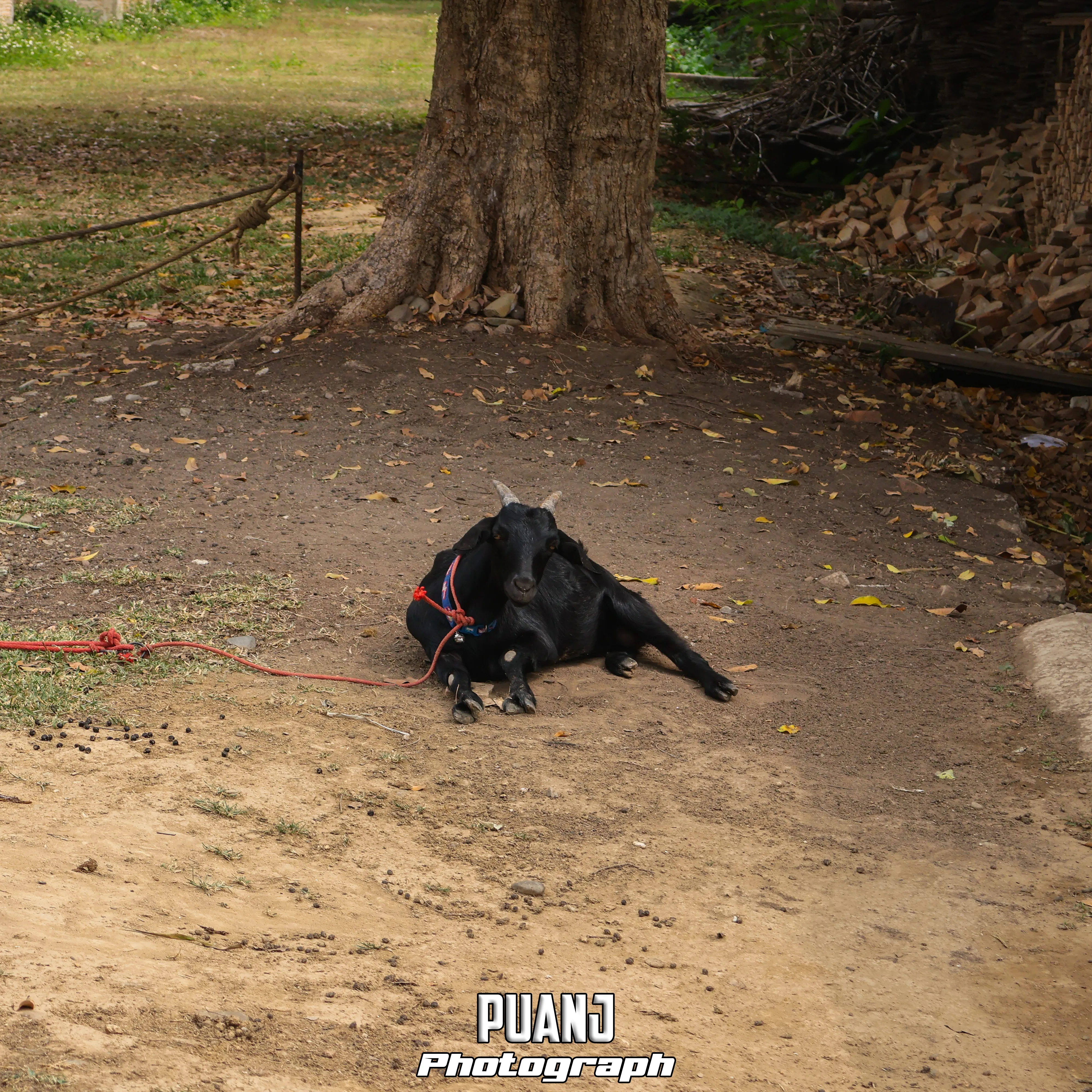 TOP 17 คาเฟ่ อำเภอปัว จังหวัดน่าน ปี 2025 ห้ามพลาด!! | PUANJ